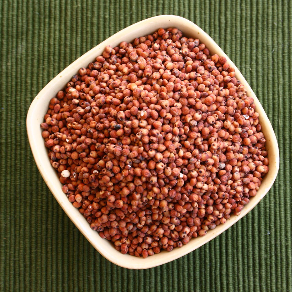 ذرة حمراء – Osman Agro